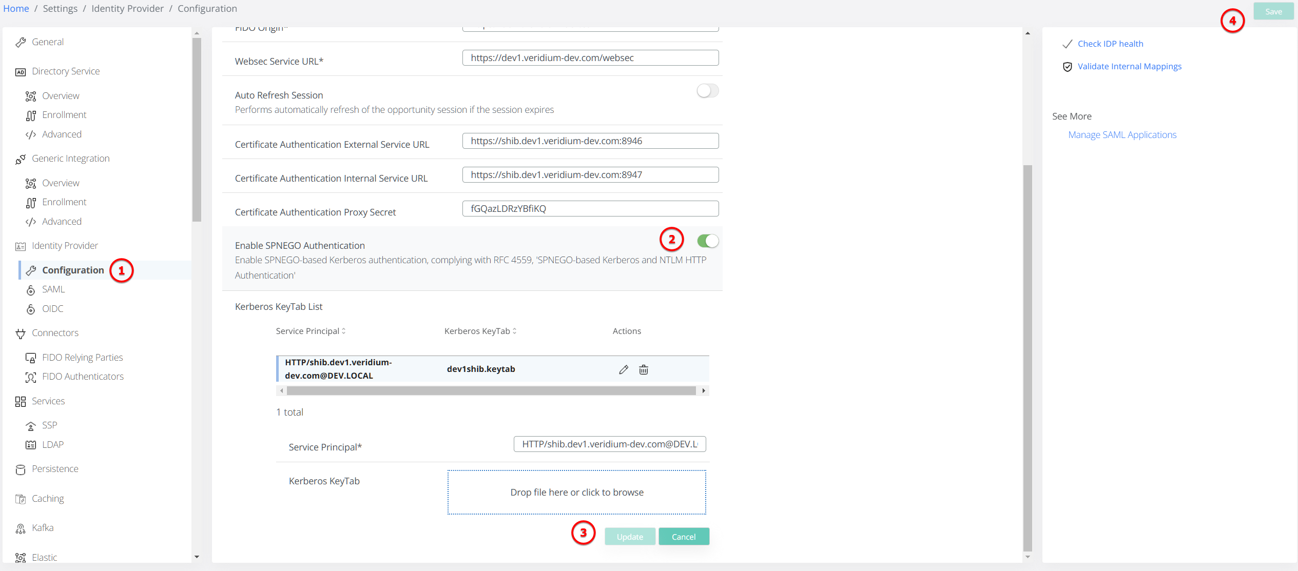SPNEGO configuration steps